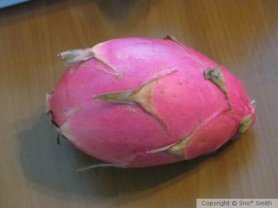 Random Artwork | ArtWanted.com