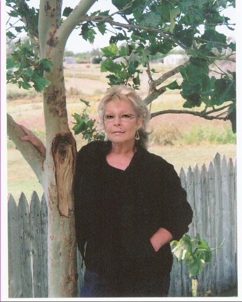 Suzanne Whitaker | Artist Bio | ArtWanted.com