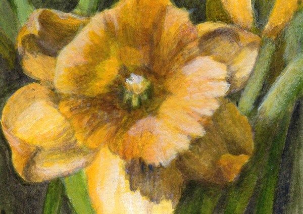 Good Morning Sunshine by Debbie Shirley | ArtWanted.com