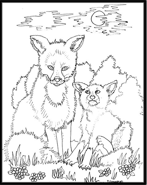 coloring book pages 5th grade